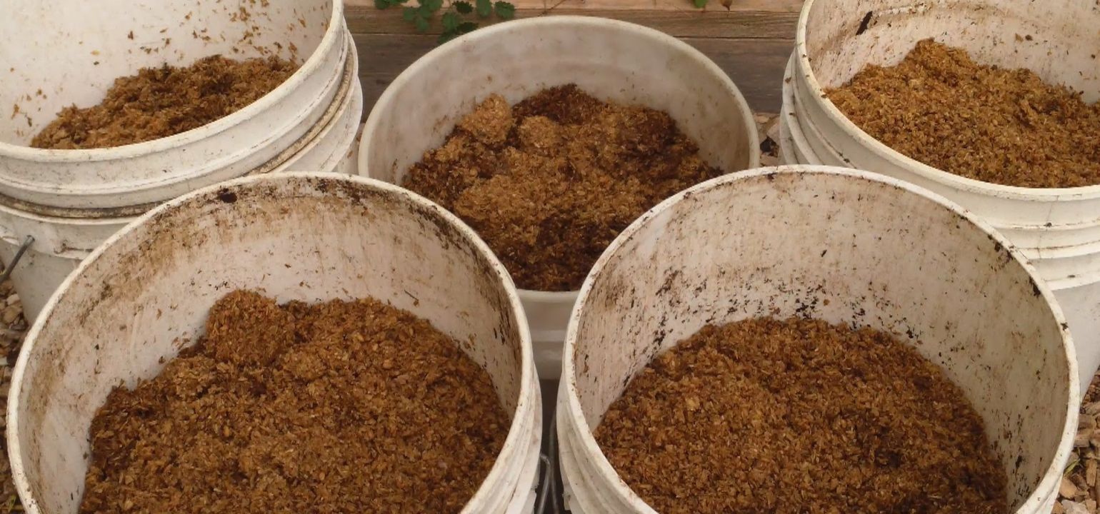 Spending Spent Grain |Science Meets Food