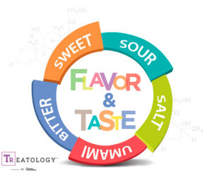Roots of Flavor and Taste |Science Meets Food