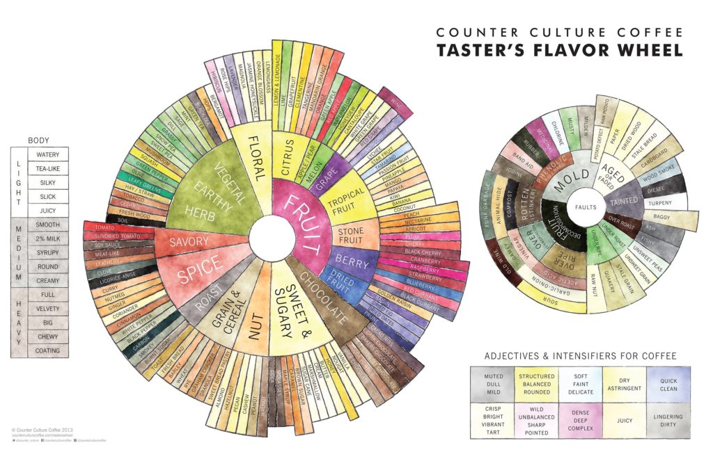 Coffee Flavors |Science Meets Food