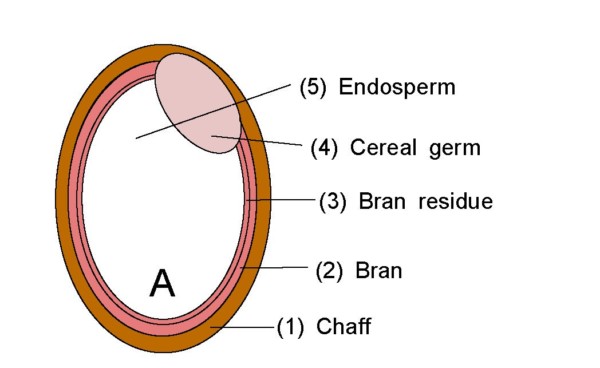Rice Science 101- An Introduction to Making Great Rice at Home ...
