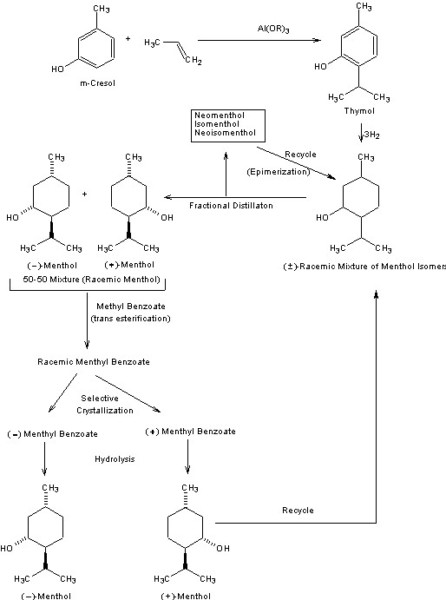 The Cool Flavors of Mint | Food Chemistry |Science Meets Food