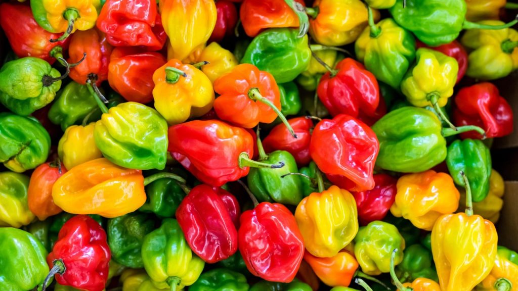 Spicy Peppers |Science Meets Food