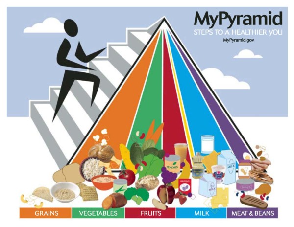 Started From The Pyramid, Now We’re Here | Health & Nutrition |Science ...