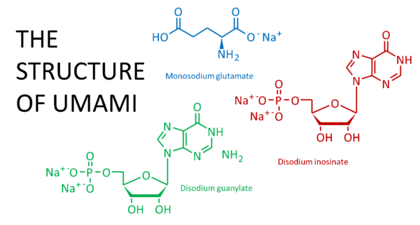 the structure of umami |Science Meets Food
