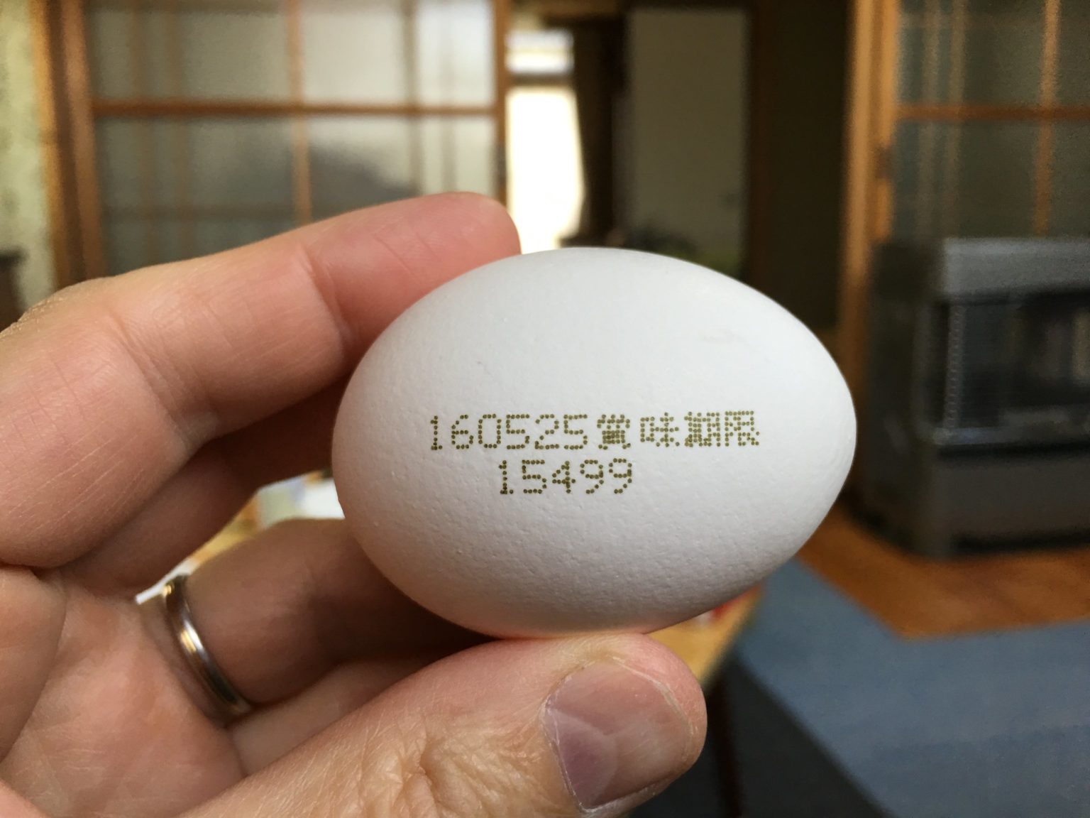 ‘Use By’, ‘Best Before’, ‘Sell By’, ‘Best If Used By’—When is my food ...