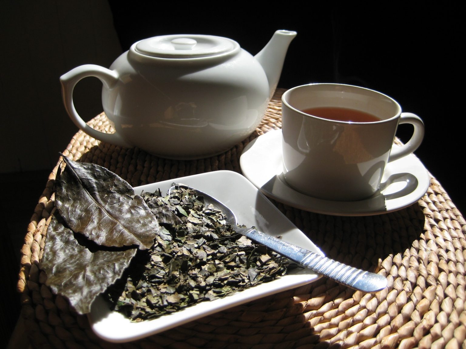 Guayusa, the ritual and sacred plant of Amazonia | Food History ...